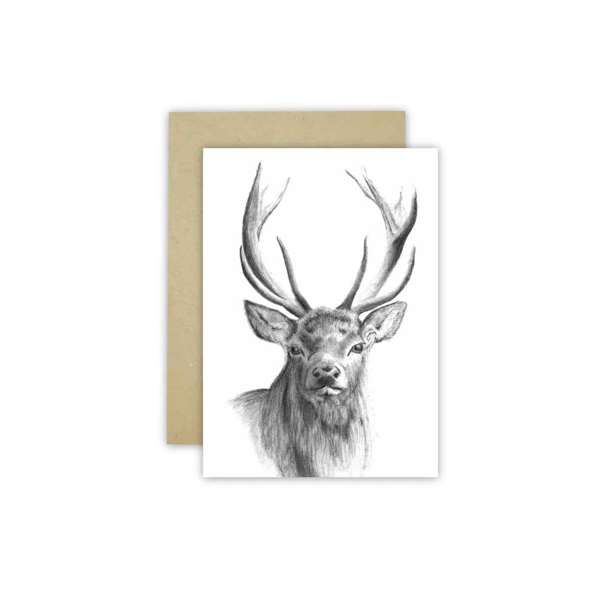 Stag Card | C6 Size | Coco Blue